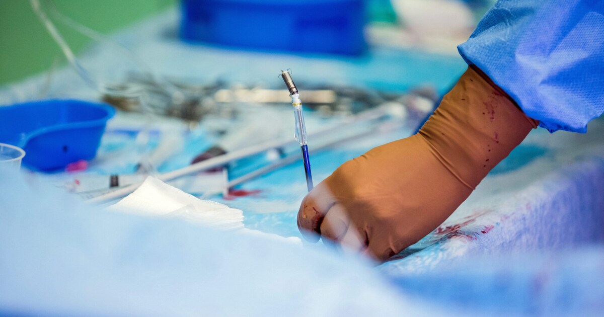 Une avancée importante: ce qu’il faut savoir sur ce nouveau mini ...