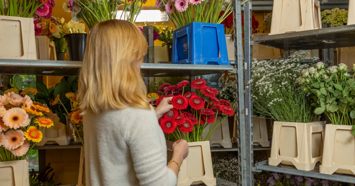 Catherine craint d'avoir contracté un cancer à cause de ses fleurs ...