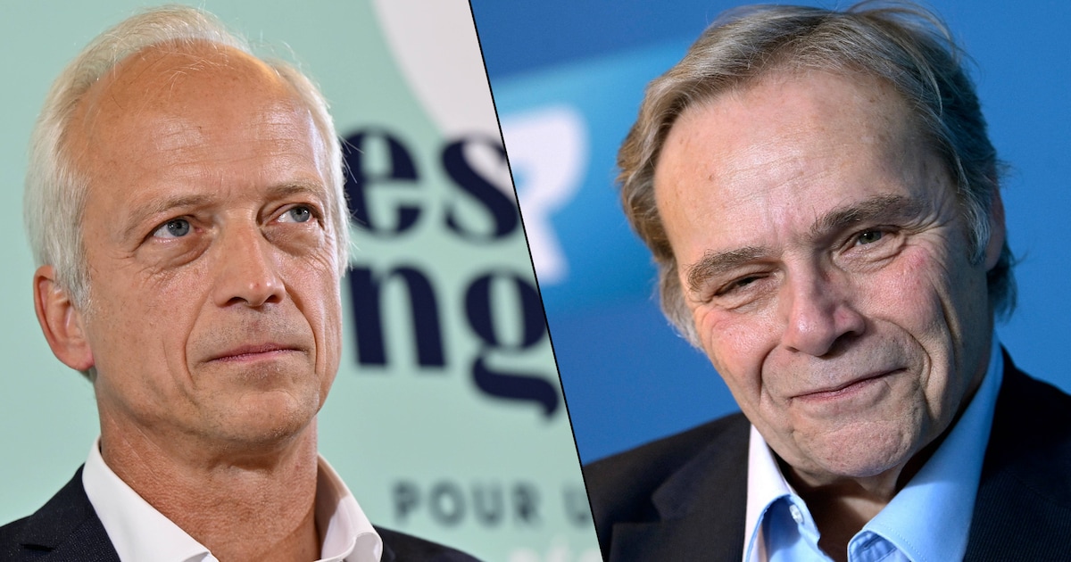 “On en fait parfois de la chair à canon”: les candidats de la société ...