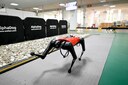 Un robochien chinois qui court plus vite que son ombre | Foto | 7sur7.be