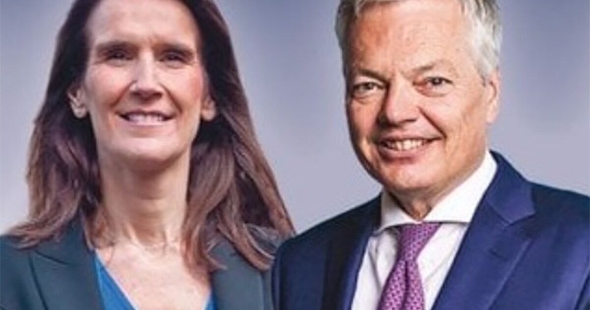 Didier Reynders moqué pour ses félicitations à Sophie Wilmès | Belgique ...
